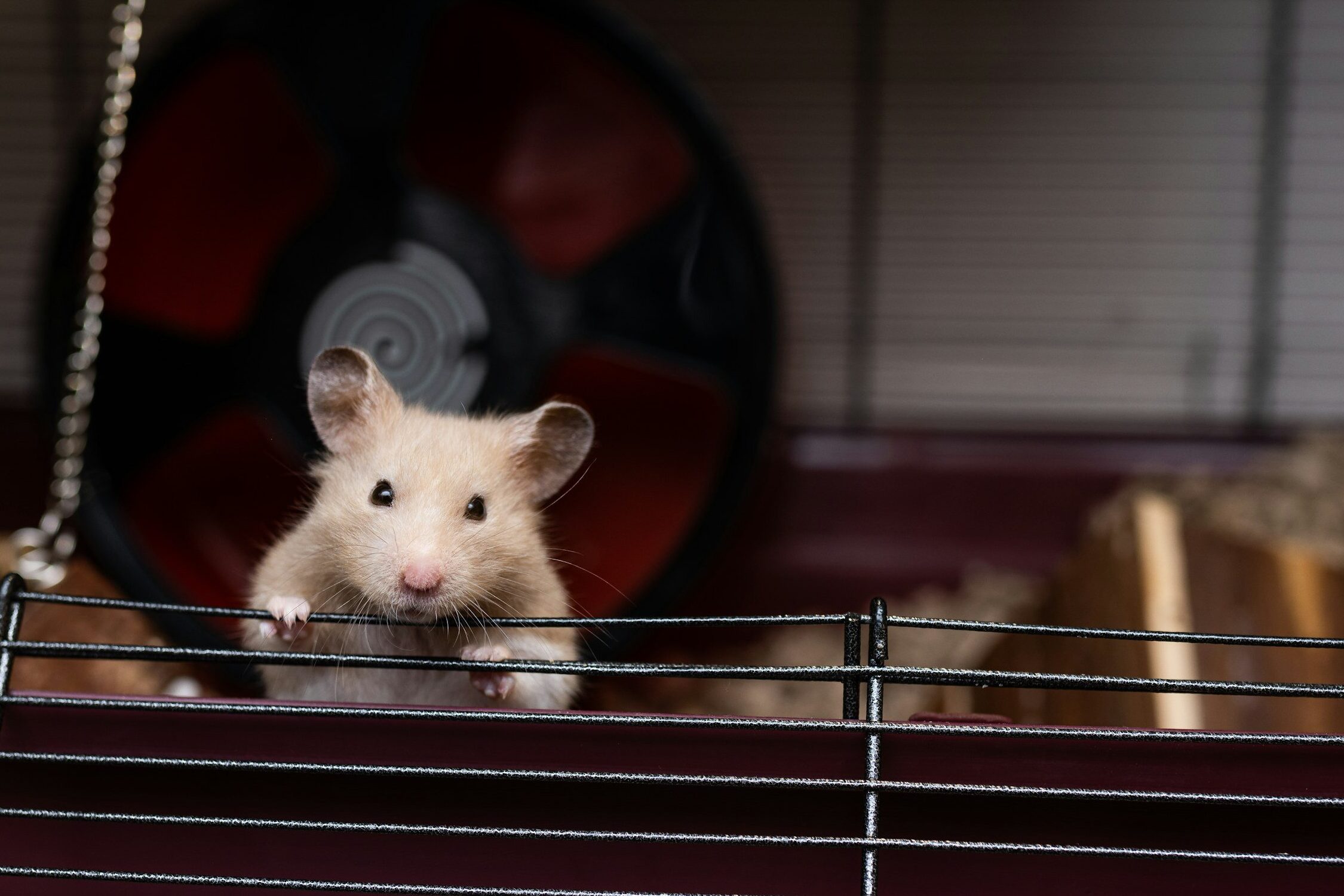 Dompter le décalage horaire: Conseils pour les voyageurs entre la ...